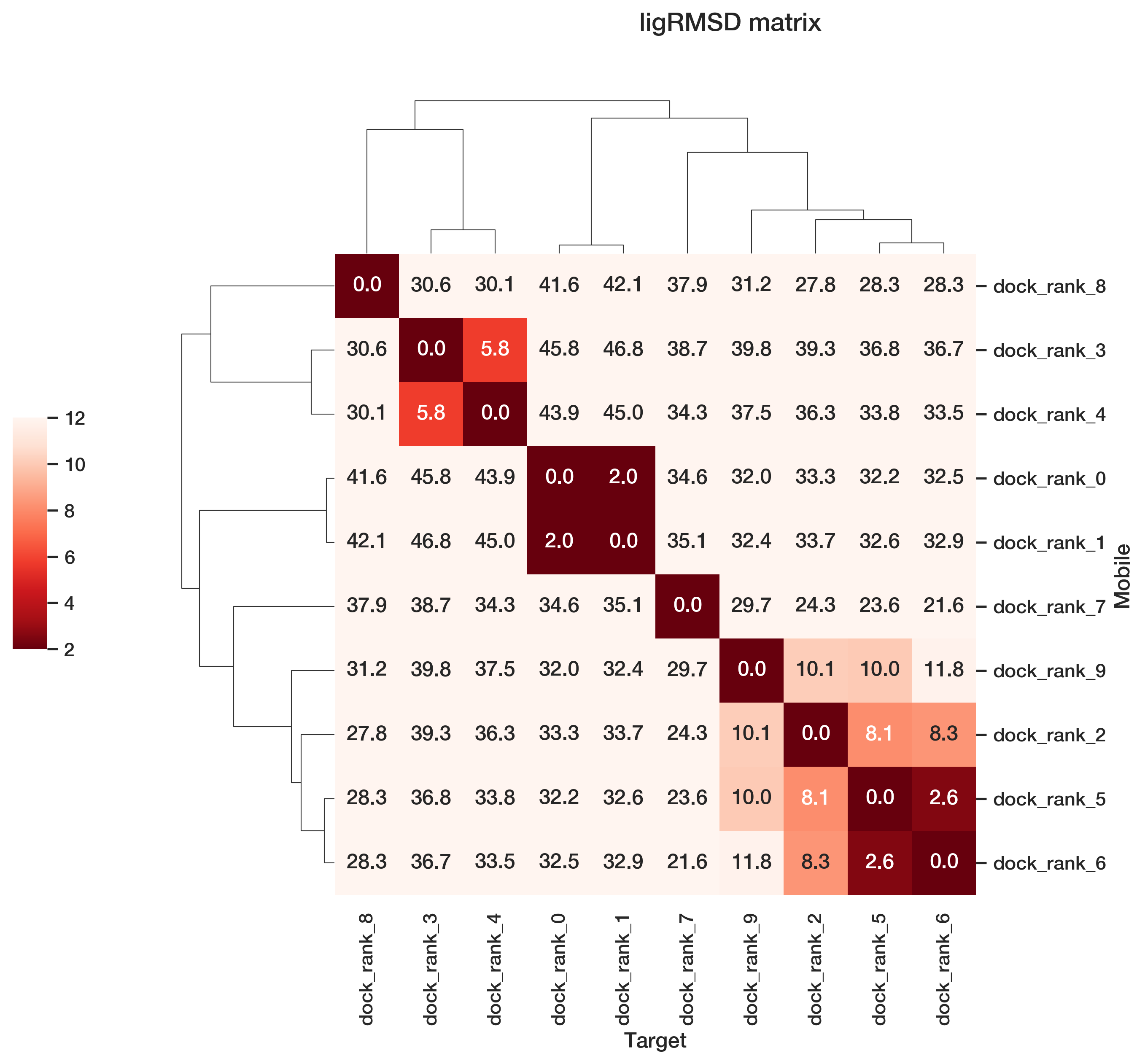 Antibody-Antigen Docking - GeoBiologics Support